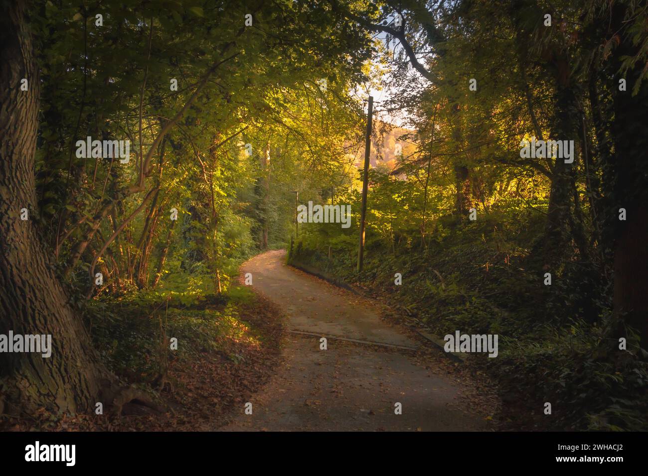 Dreen pathway hi-res stock photography and images - Alamy