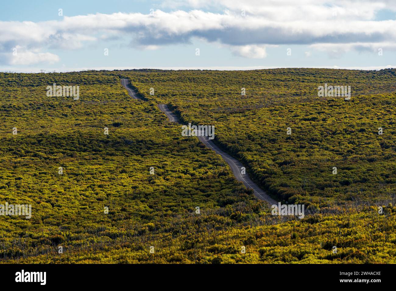 Road through the bushland in Flinders Chase National Park, Kangaroo ...