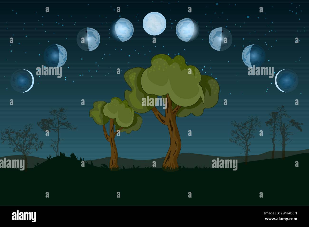 Moon phases. Whole cycle from new moon to full. Lunar cycle change. New ...