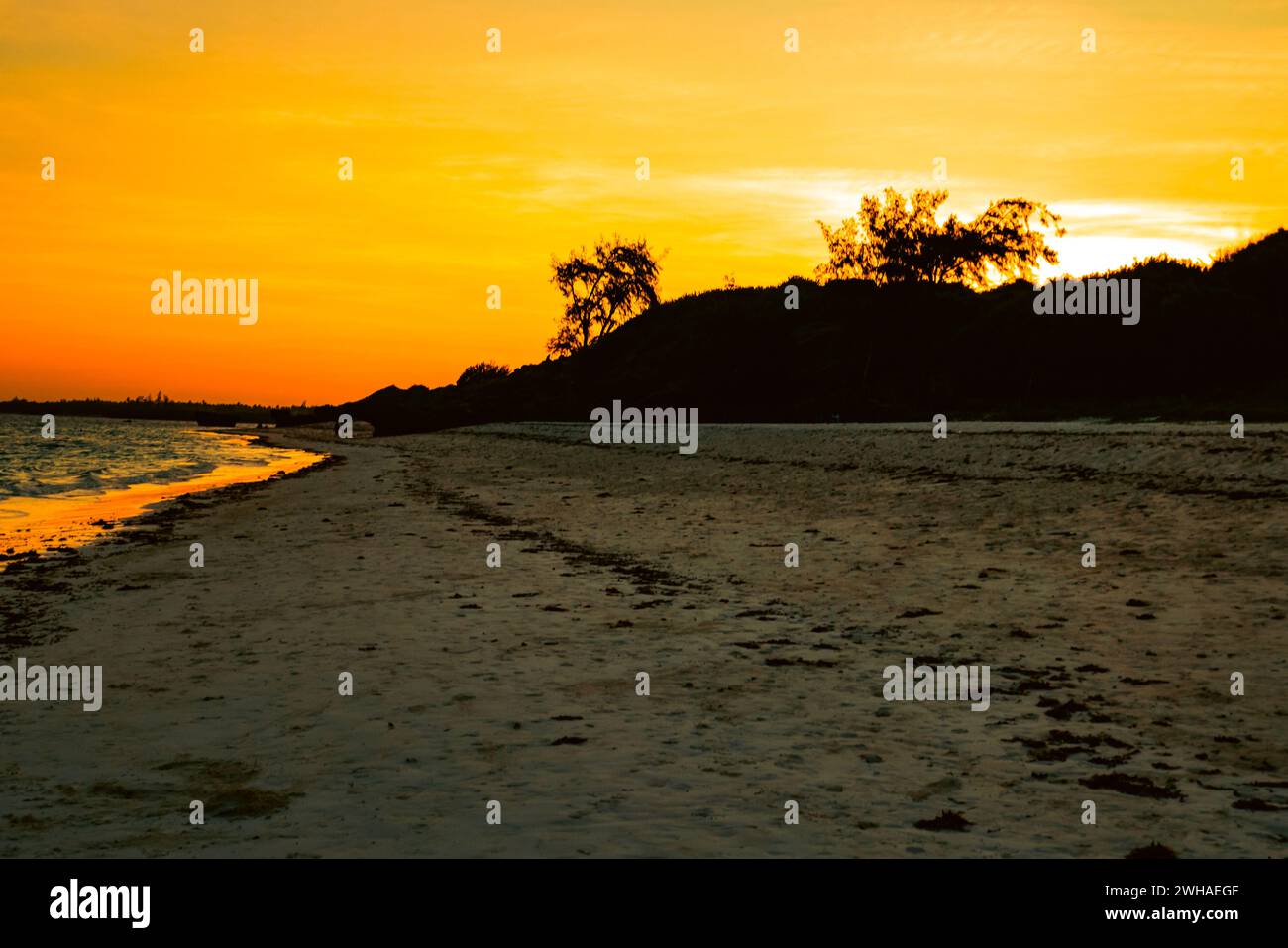 Scenic view of Watamu Beach sunset amids corol rocks in Watamu, Malindi ...