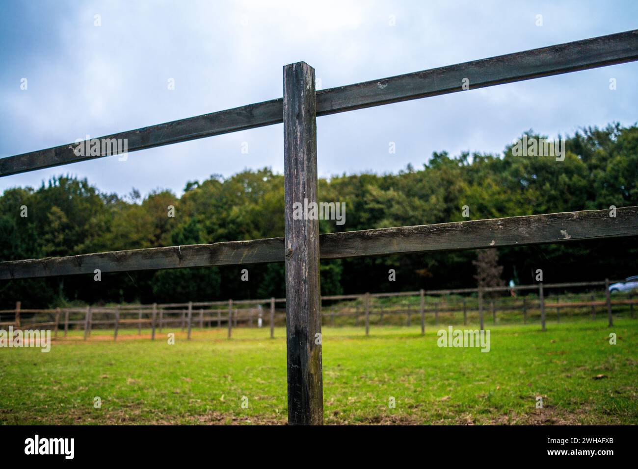 A lush green fence surrounds the stud farm, creating a pastoral and ...