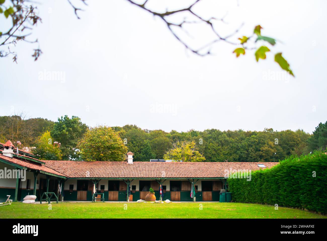 Stud farm hi-res stock photography and images - Alamy