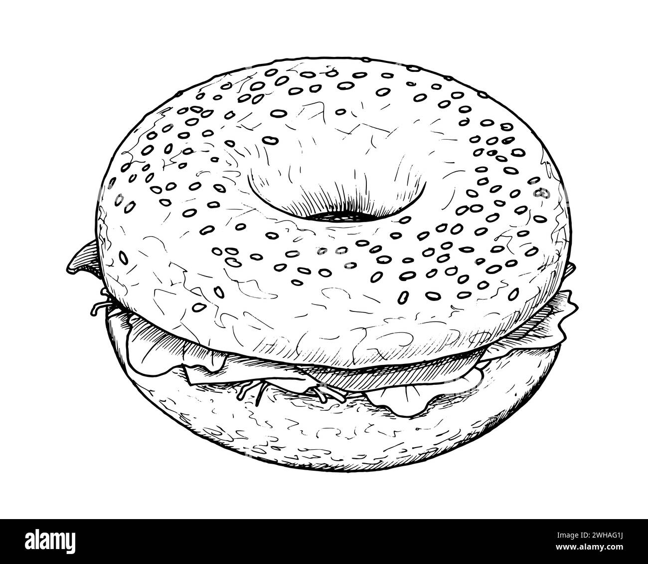 Drawing of bagel - hand sketch of food Stock Vector Image & Art - Alamy