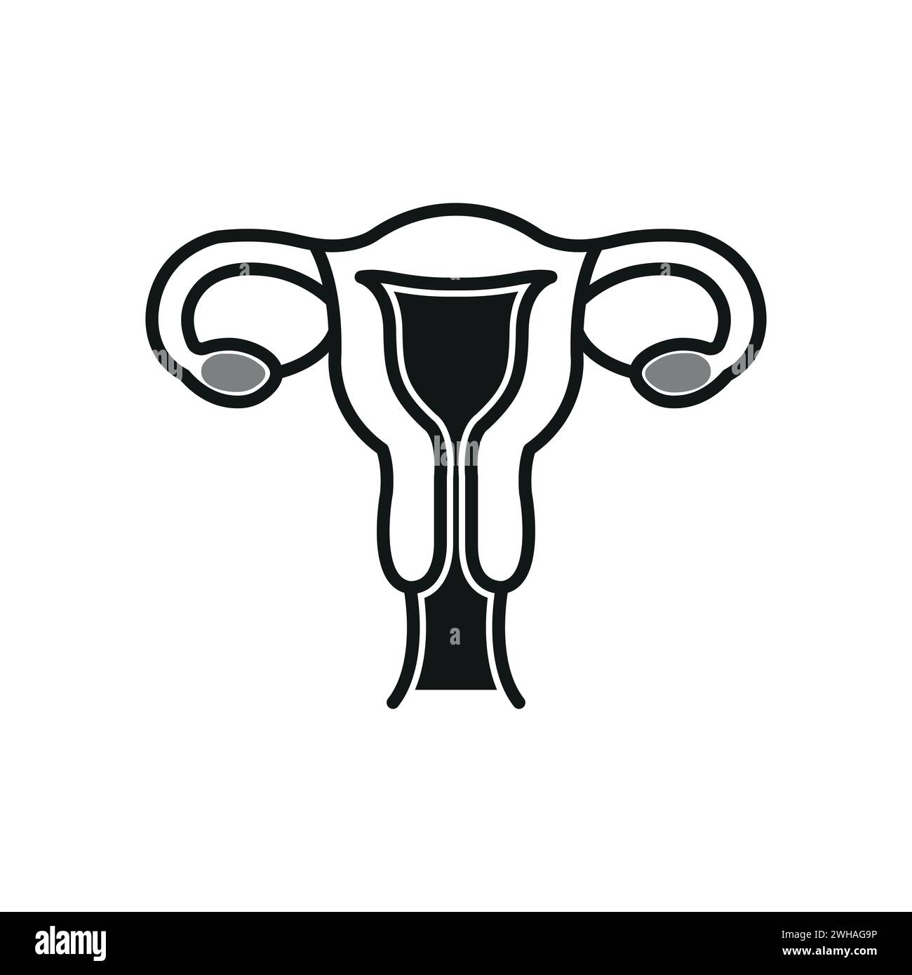 female reproductive system organ icon vector black colour Stock Vector ...