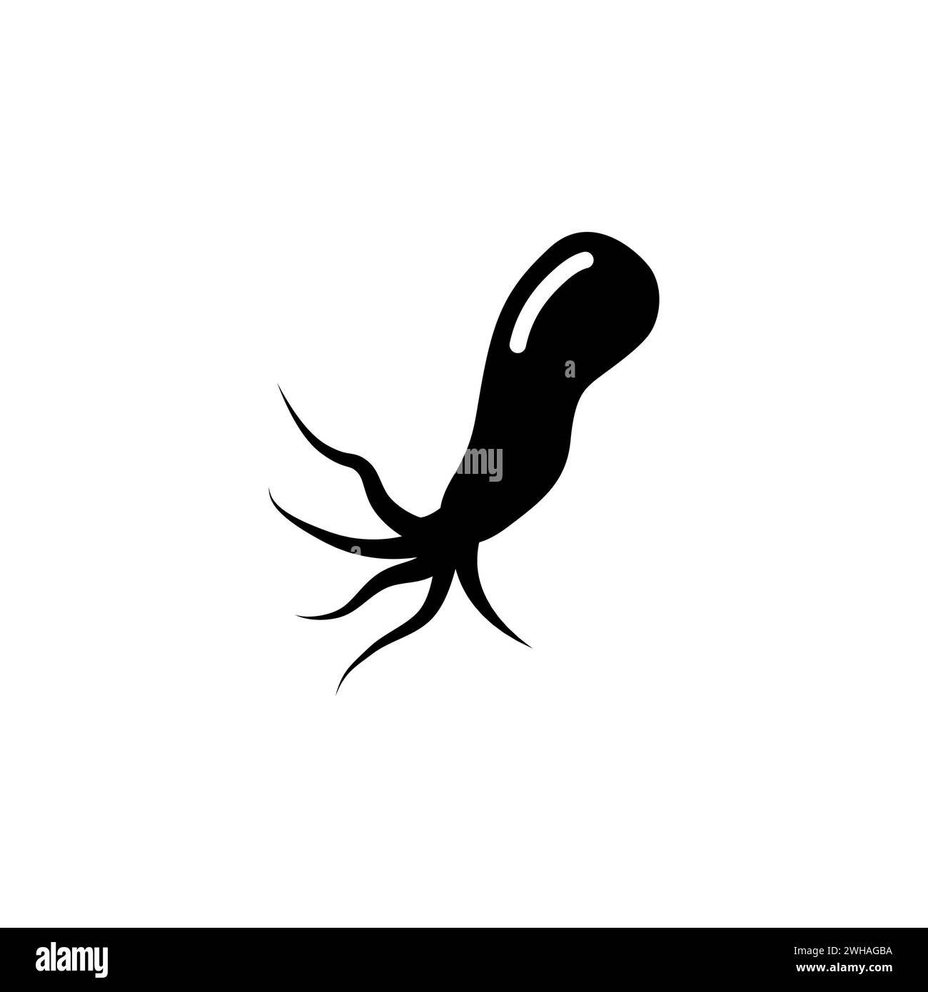 Virus Bacteria flat vector icon. Simple solid symbol isolated on white ...