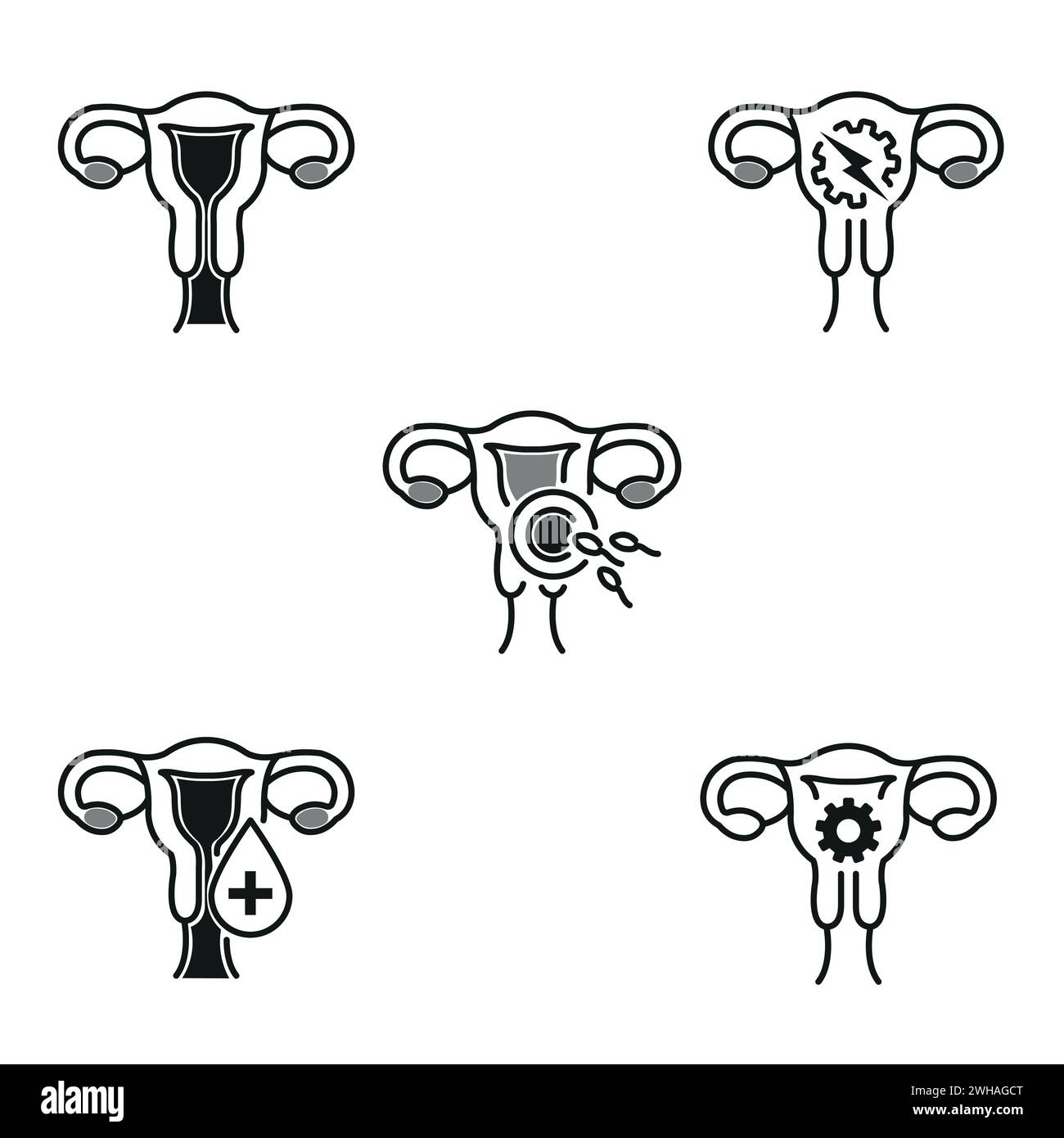 Female Reproductive System Organ Icon Vector Black Colour Stock Vector