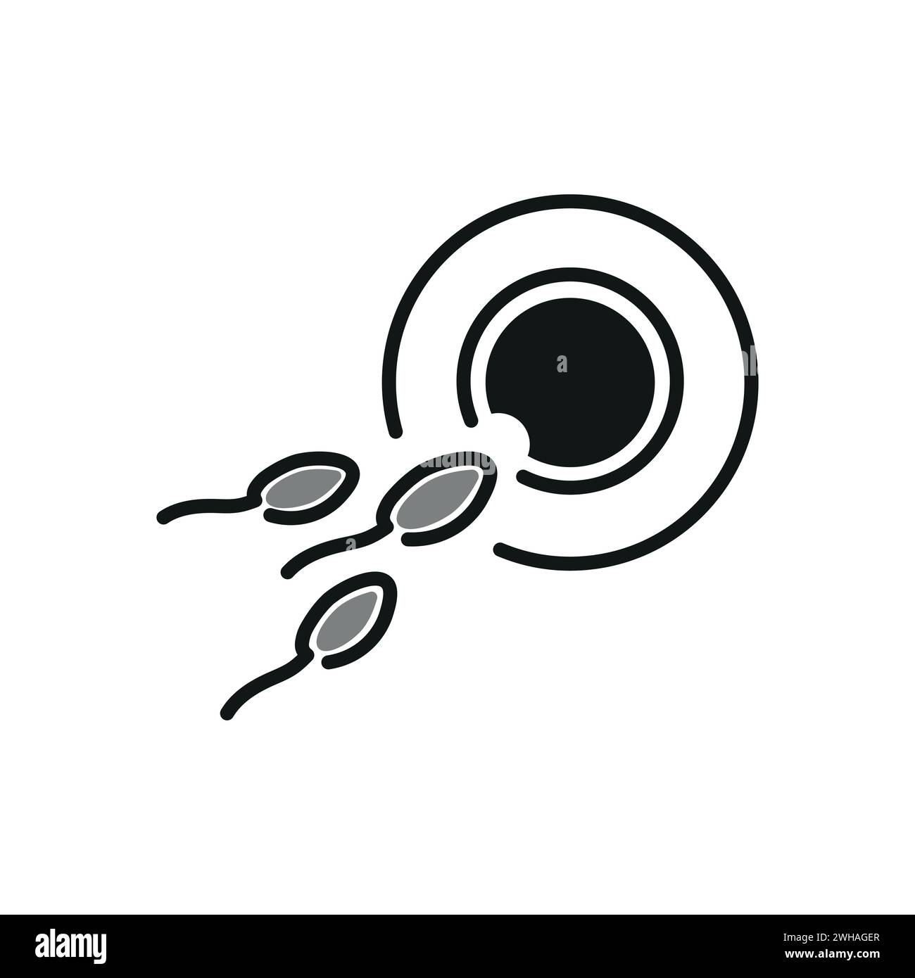 Female Reproductive System Organ Icon Vector Black Colour Stock Vector