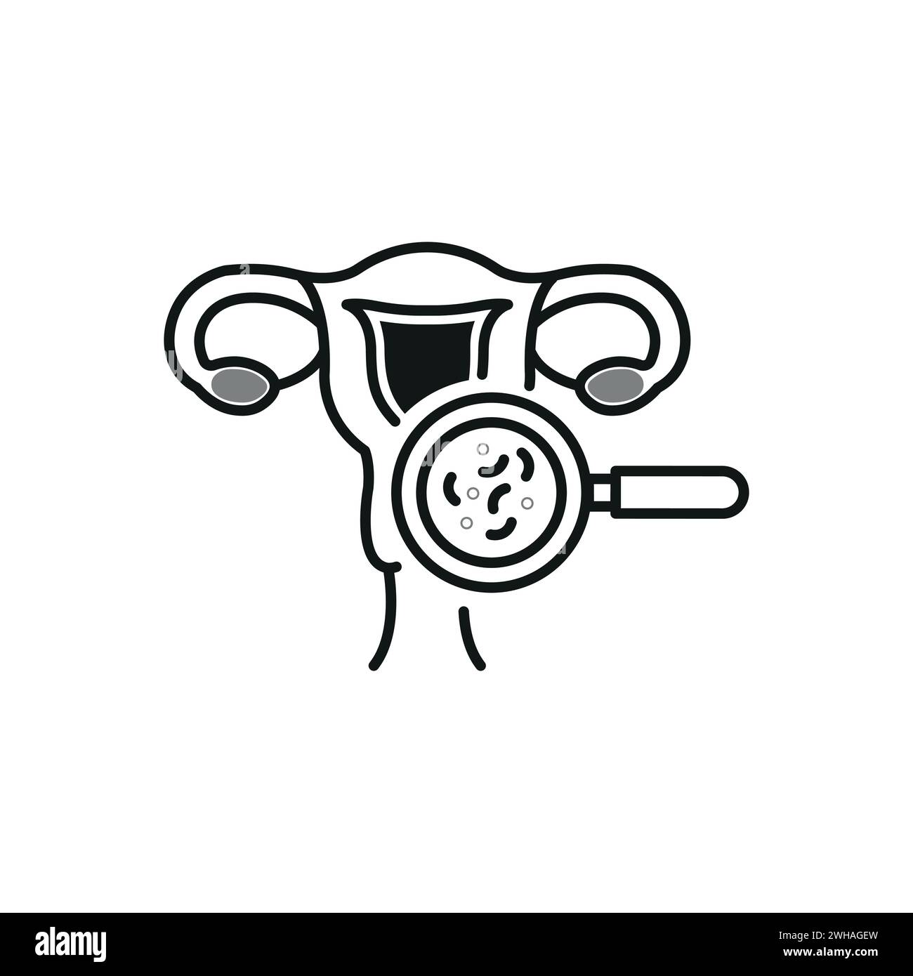 female reproductive system organ icon vector black colour Stock Vector ...