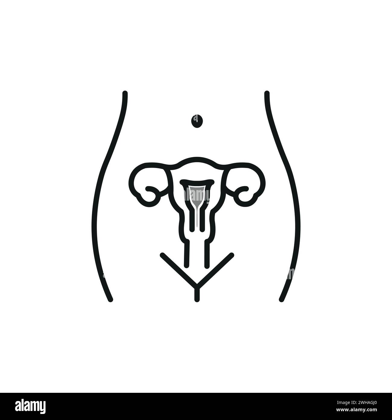 Female Reproductive System Organ Icon Vector Black Colour Stock Vector