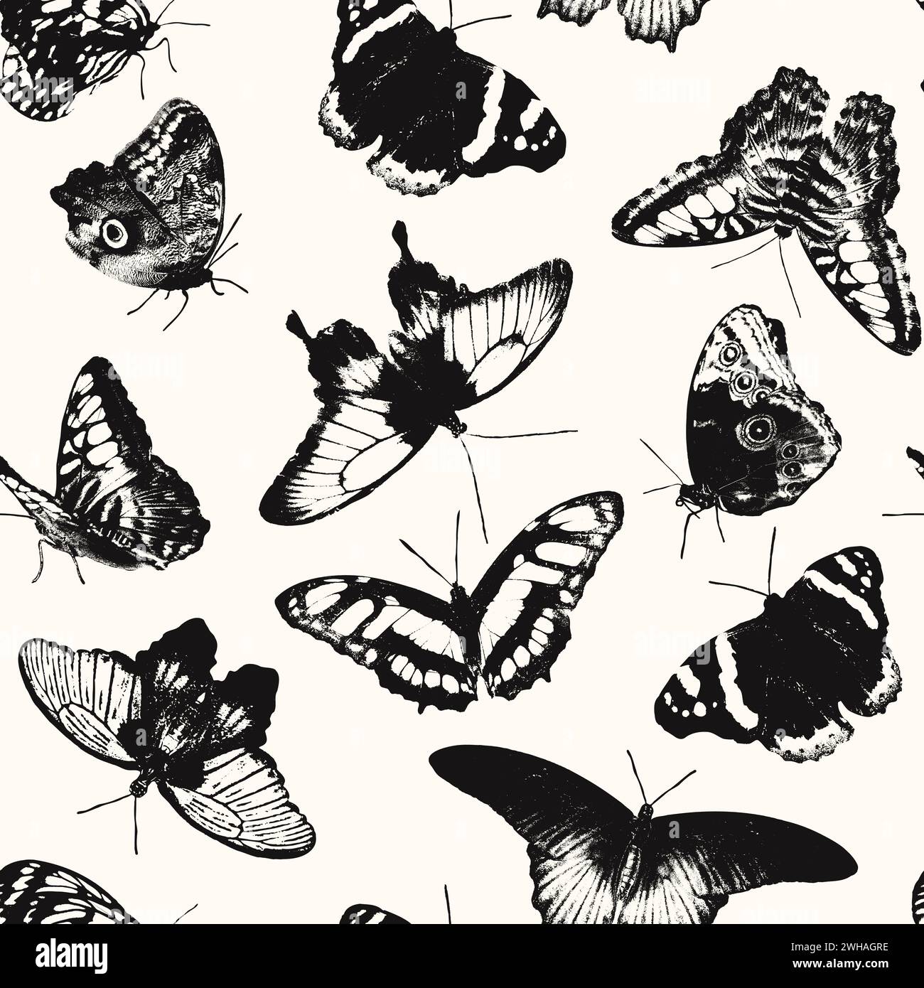 Monochrome butterflies in flight seamless pattern retro photocopy Stock ...