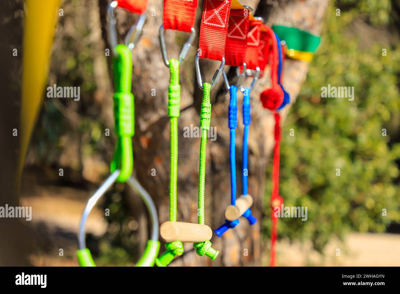 A set of colorful ropes hanging from a tree for children's games Stock ...