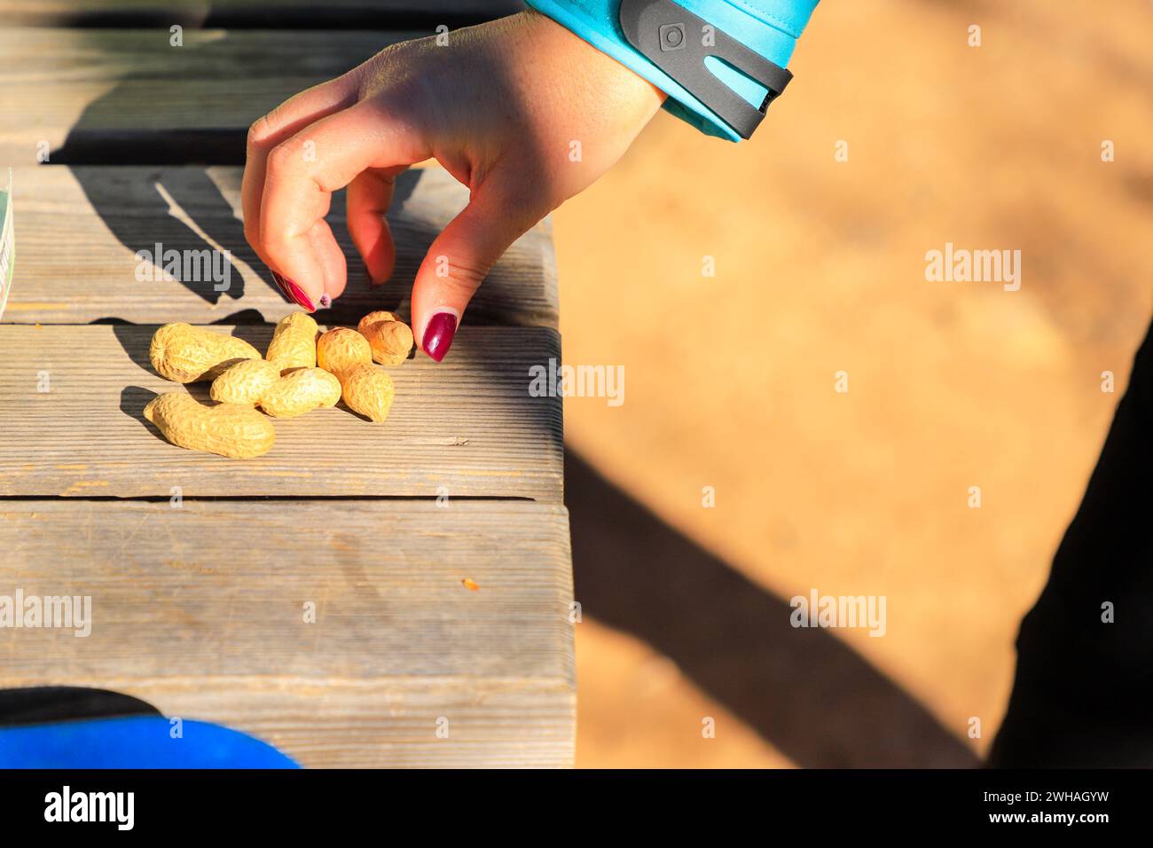 Picking peanuts hi-res stock photography and images - Alamy