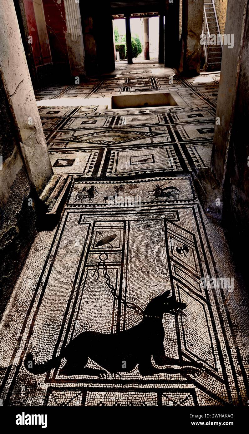 The mosaic of a guard dog in the vestibule of The House of Paquius ...