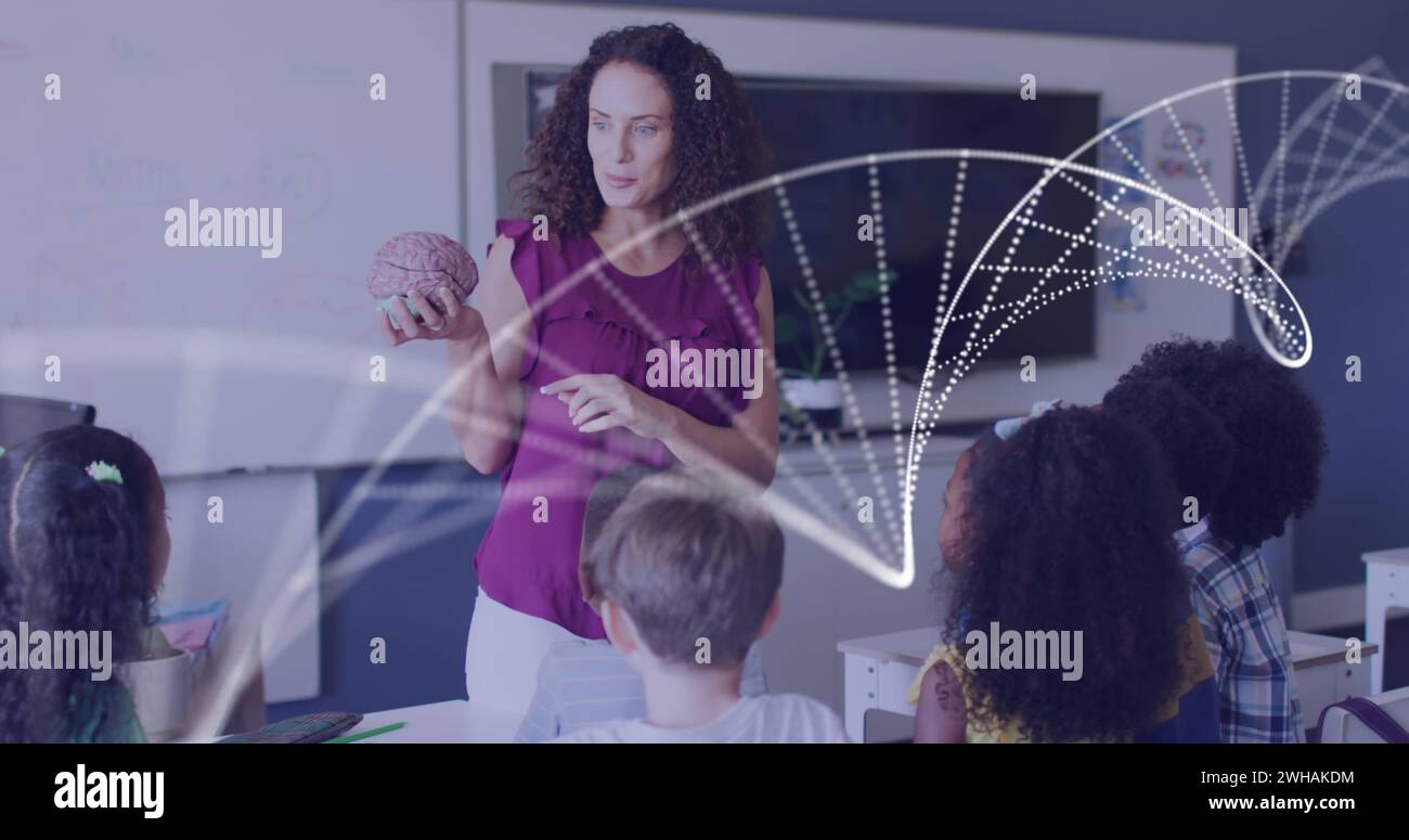 Image of dna strand over happy diverse female teacher with model brain ...