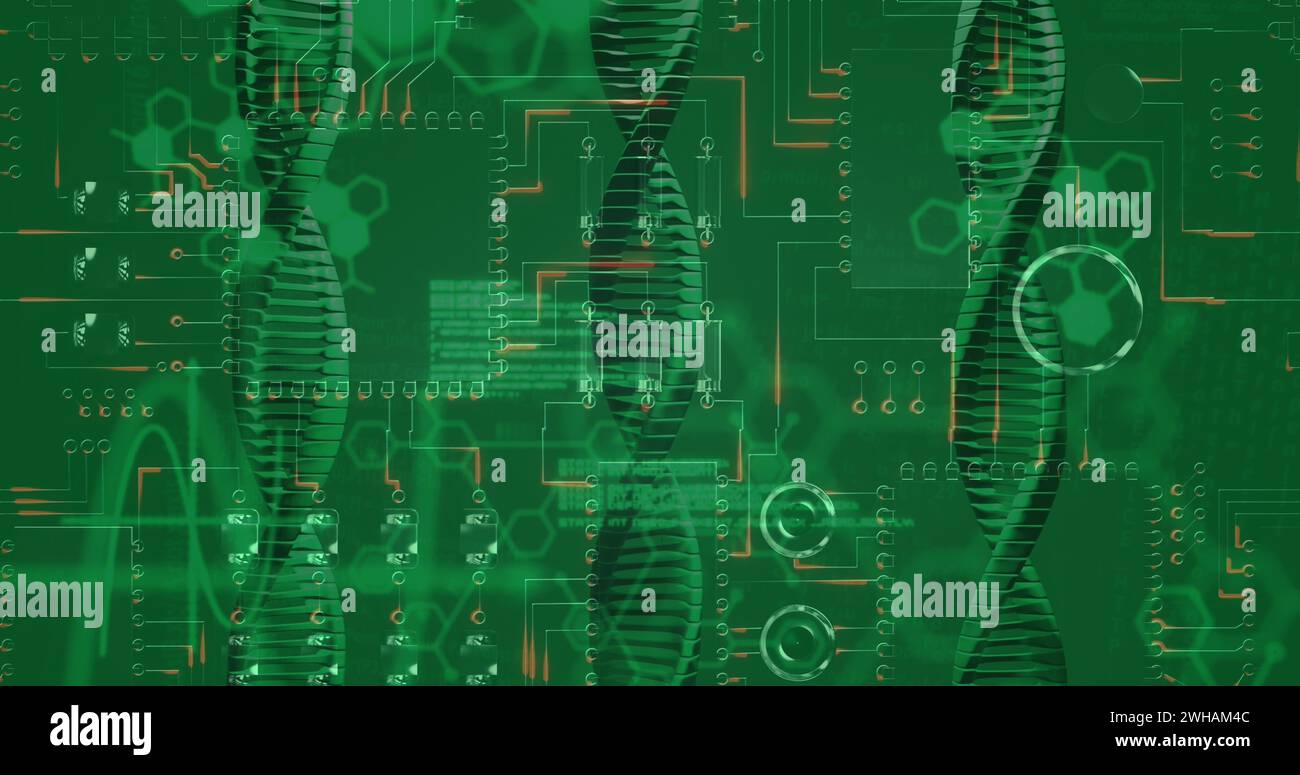 Image of medical data processing over green background Stock Photo - Alamy