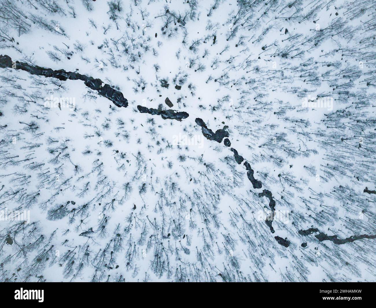 Land forest hi-res stock photography and images - Alamy