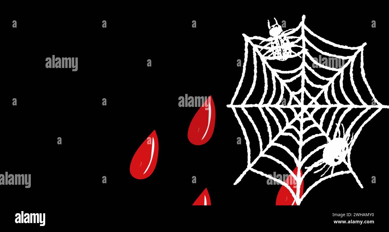 Image of blood and spiders web on black background Stock Photo - Alamy