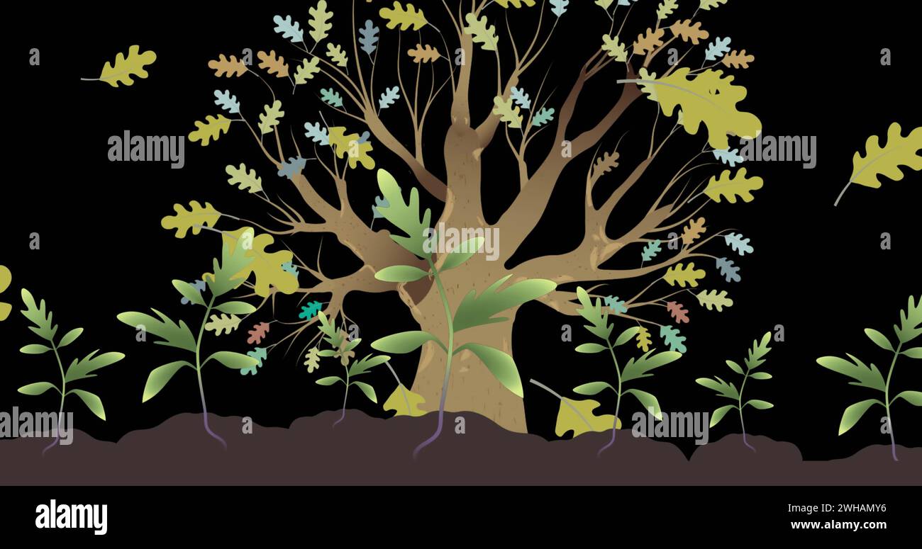 Floating tree hi-res stock photography and images - Alamy