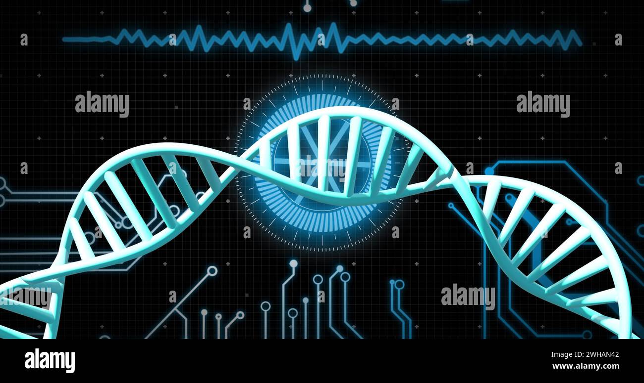 Image of dna strand spinning over data processing on black background ...