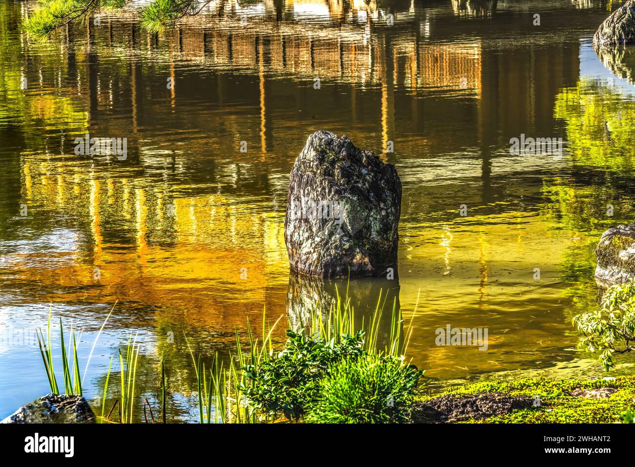Water Reflection Garden Kinkaku-Ji Golden Pavilion Temple Kyoto Stock ...