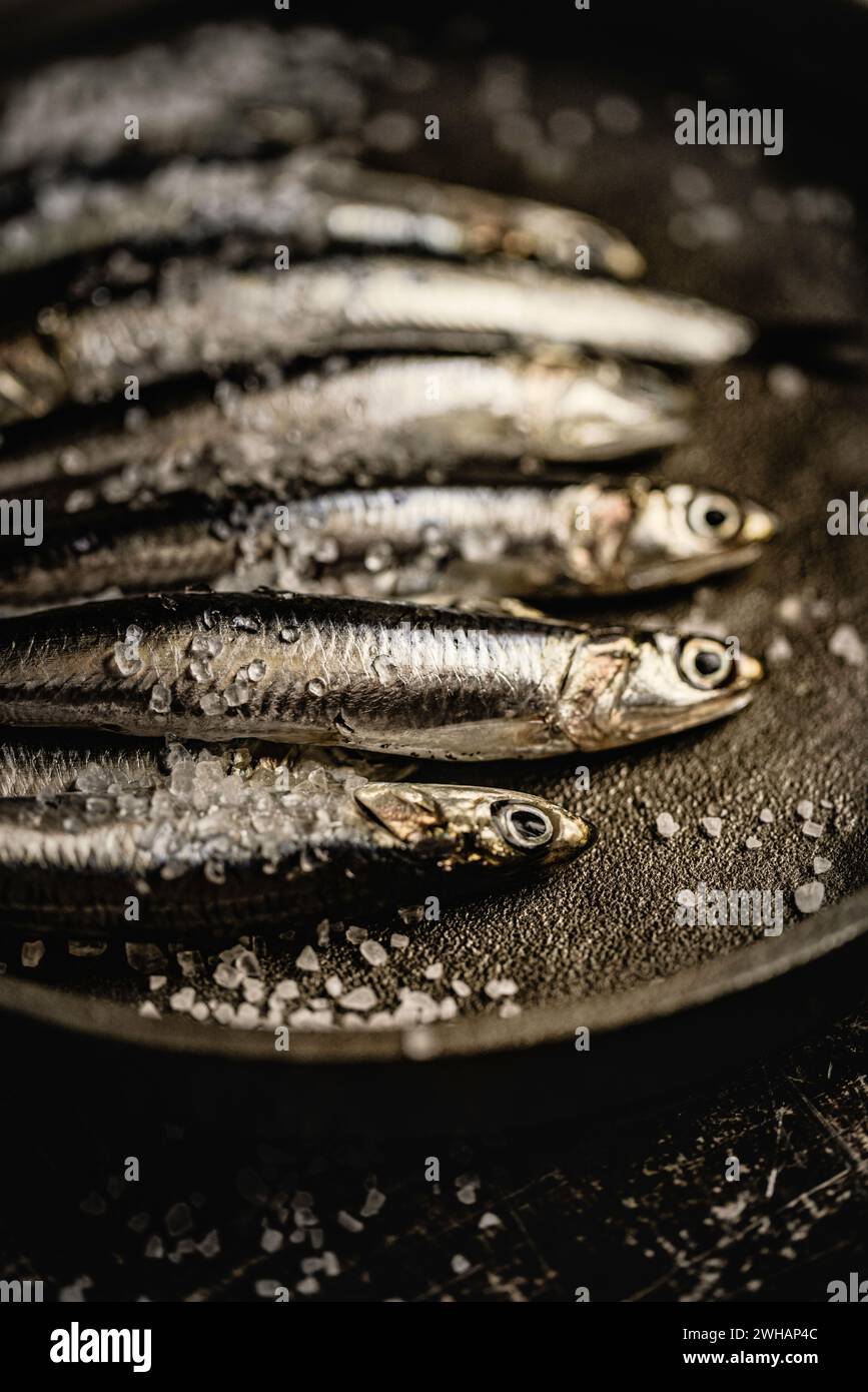 Venice fish bowl hi-res stock photography and images - Alamy