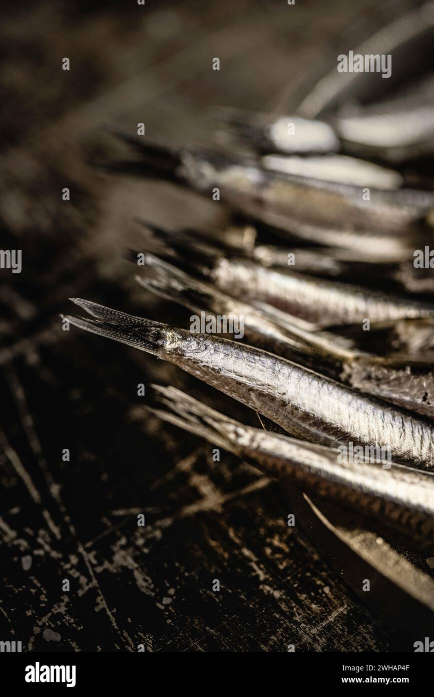 Venice fish bowl hi-res stock photography and images - Alamy