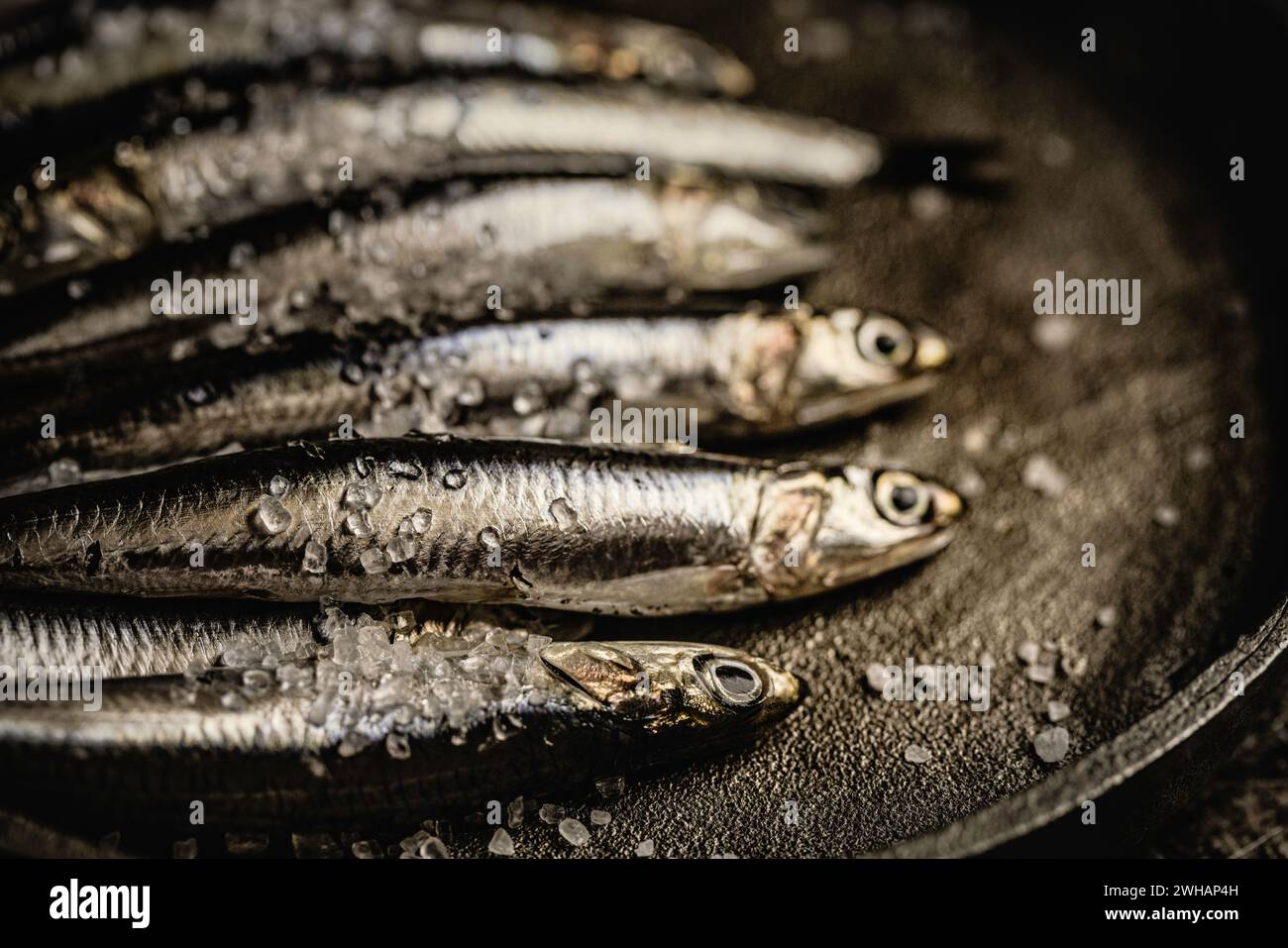 Venice fish bowl hi-res stock photography and images - Alamy