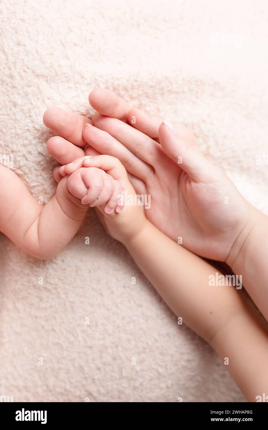 hand of a newborn in the hands of parents Stock Photo - Alamy