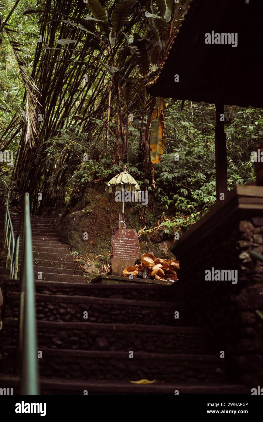 Balinese temple sebatu holy water spring, men pray Stock Photo - Alamy