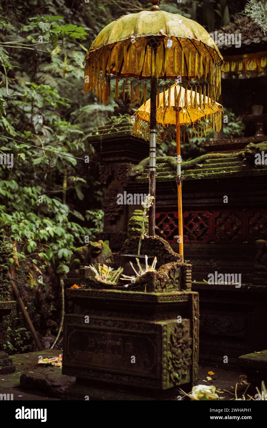 Balinese temple sebatu holy water spring, men pray Stock Photo - Alamy