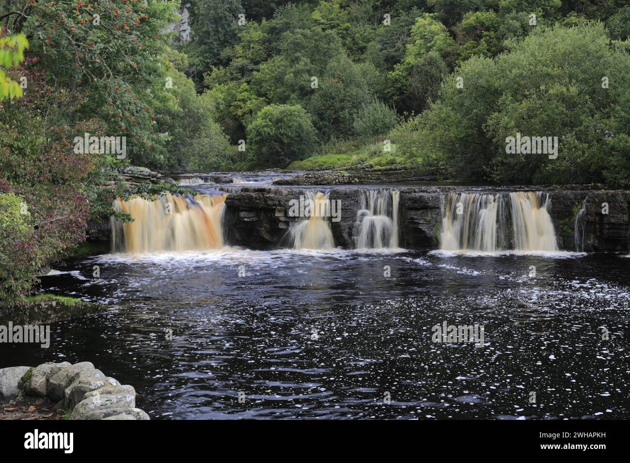 Autumn, Wain Wath Force waterfalls, River Swale, Swaledale; Yorkshire ...