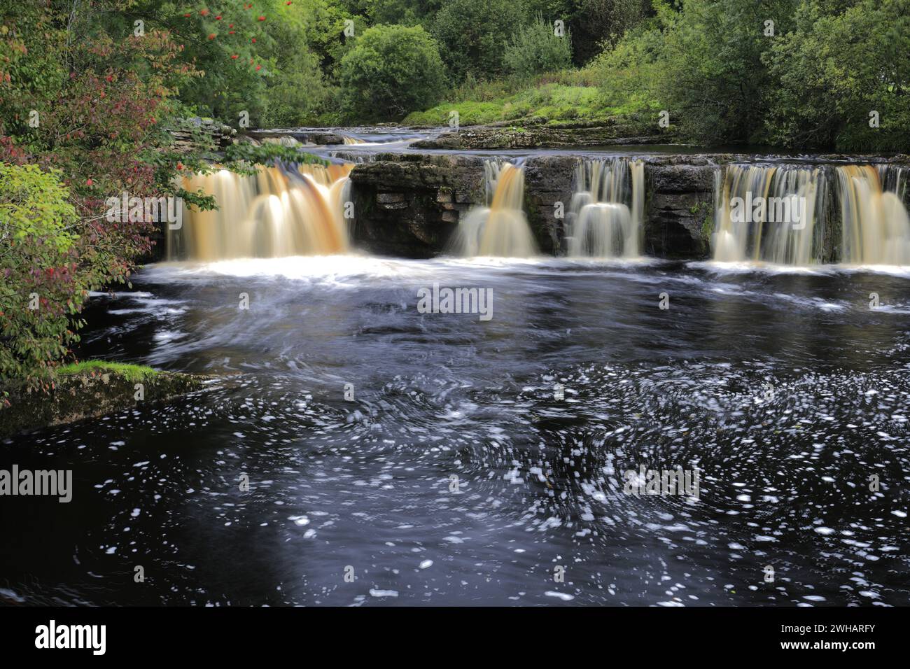 Autumn, Wain Wath Force waterfalls, River Swale, Swaledale; Yorkshire ...