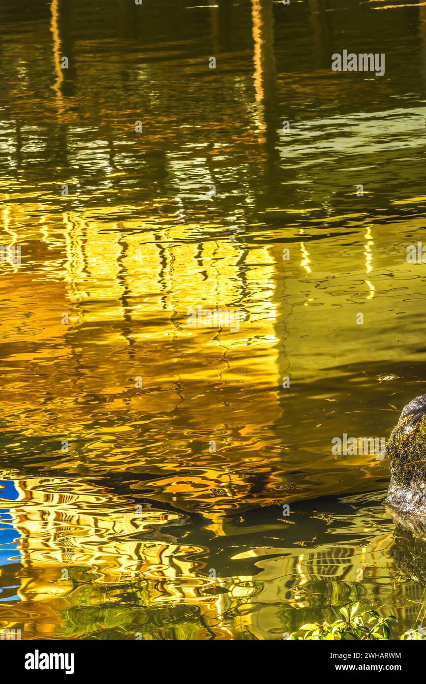 Water Reflection Garden Kinkaku-Ji Golden Pavilion Temple Kyoto Stock ...