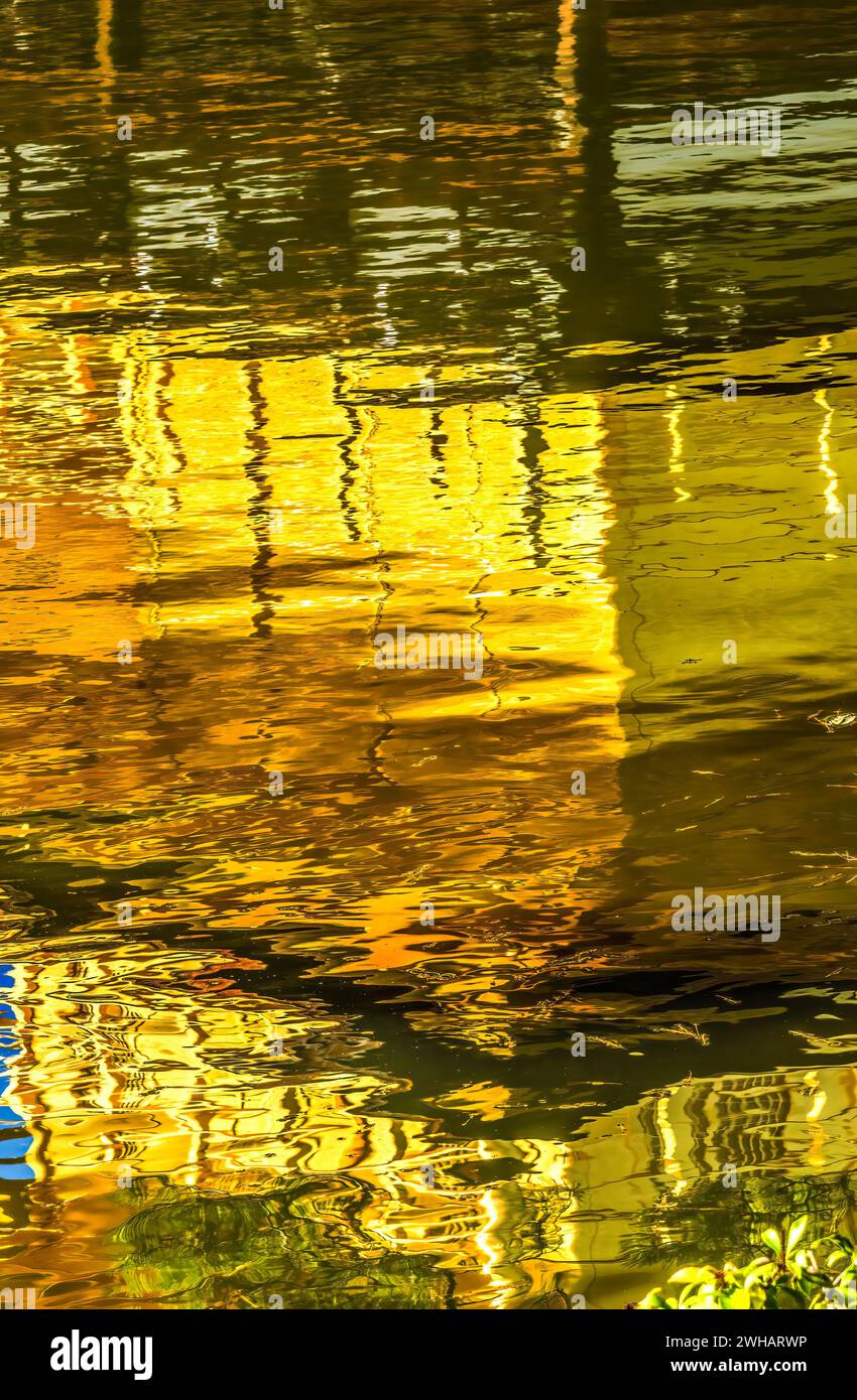 Water Reflection Garden Kinkaku-Ji Golden Pavilion Temple Kyoto Stock ...