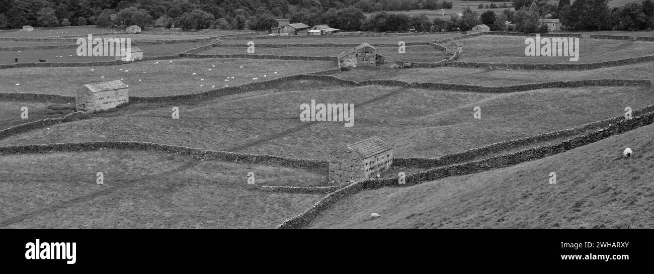 Stone barns and sheep at Gunnerside village, Swaledale; Yorkshire Dales ...