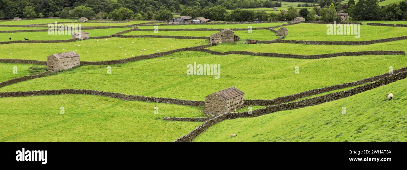 Stone barns and sheep at Gunnerside village, Swaledale; Yorkshire Dales ...