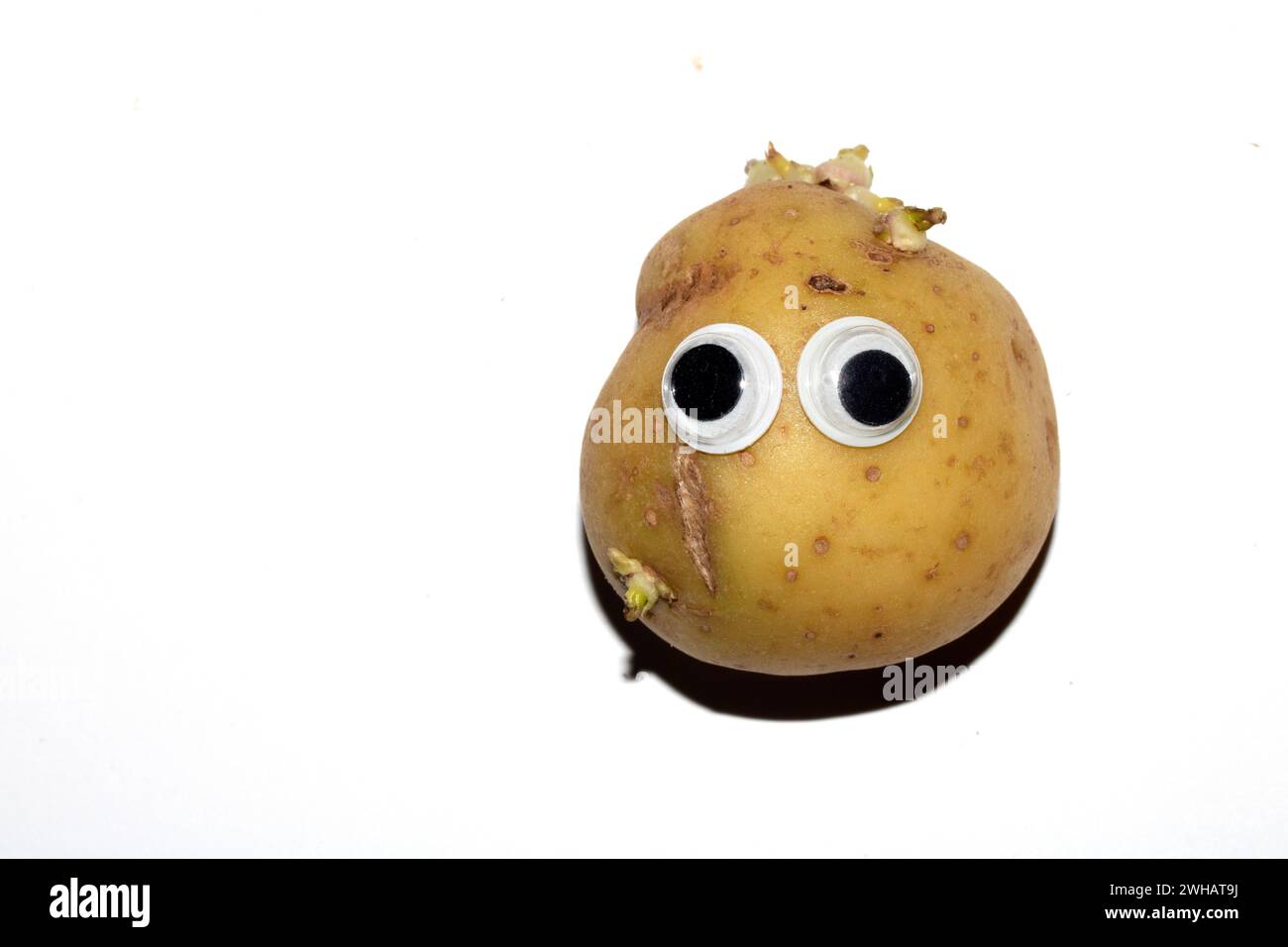 Potato eyes sprouting hi-res stock photography and images - Alamy