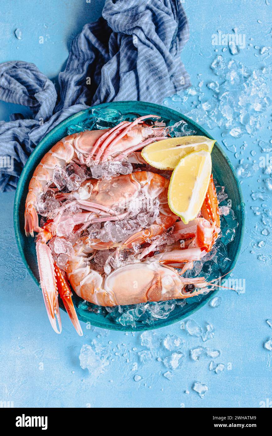 Venice fish bowl hi-res stock photography and images - Alamy