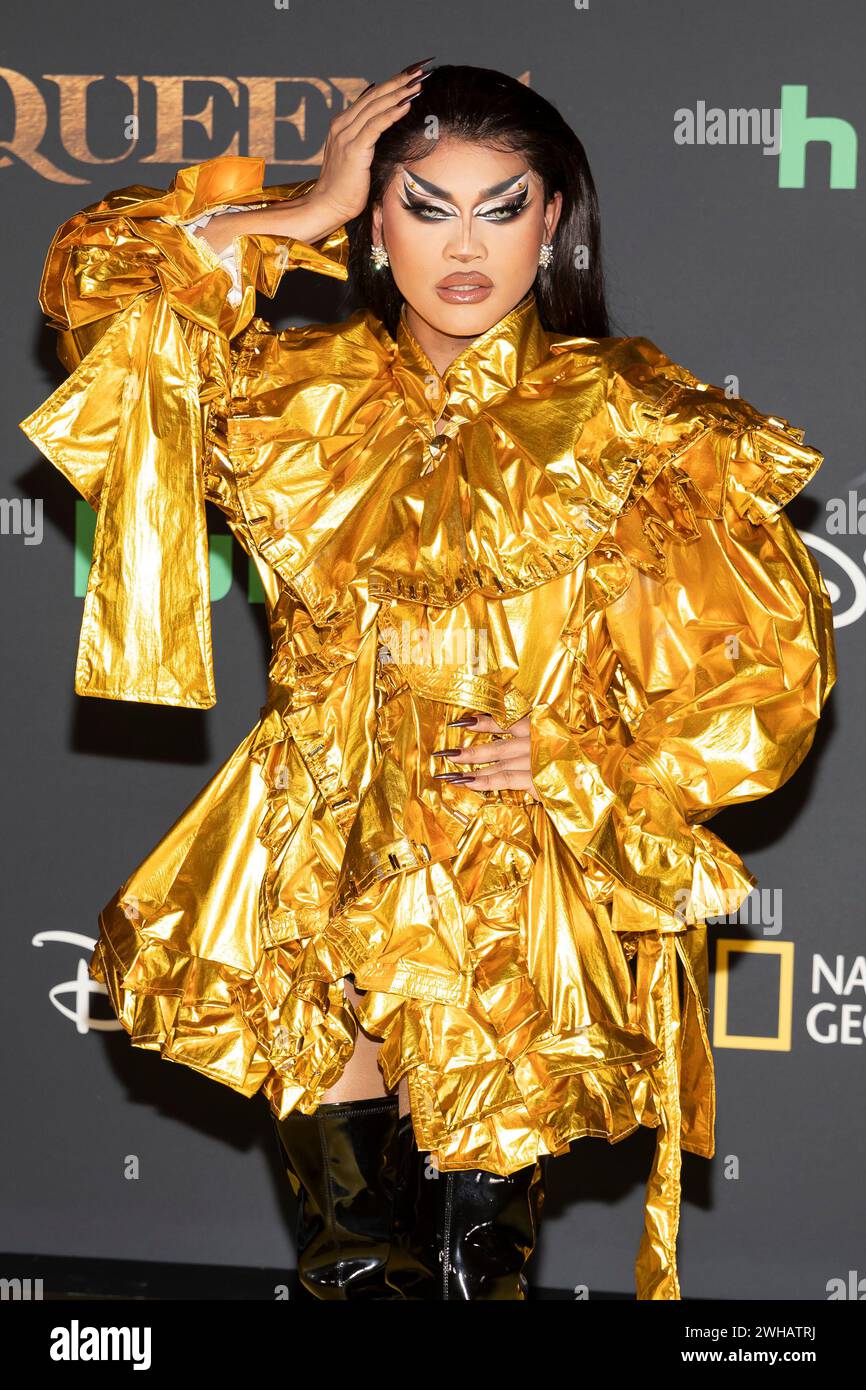 Los Angeles, USA. 08th Feb, 2024. Prince Marell attends the arrivals of ...