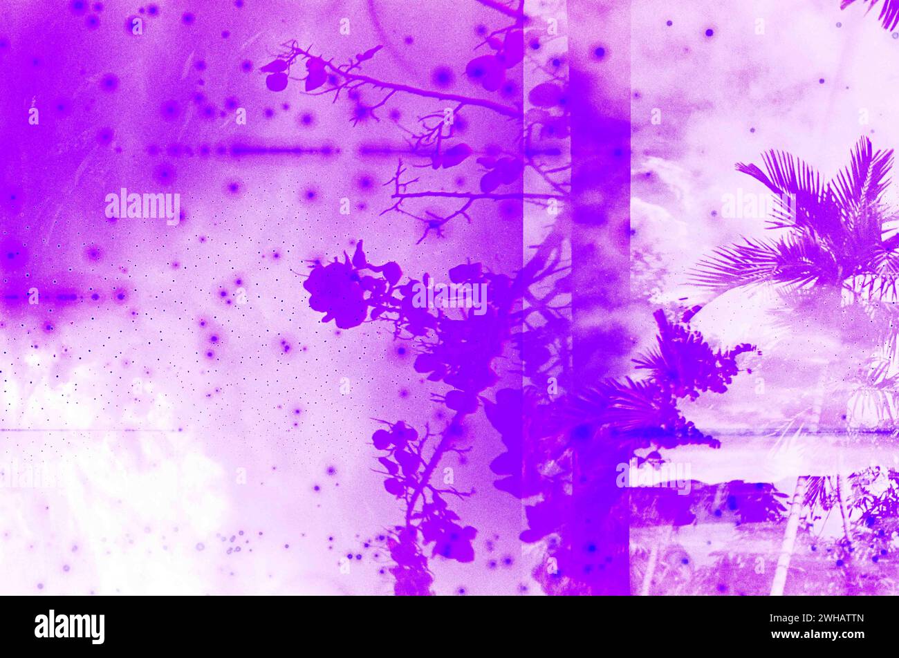 Multiple Exposure Abstract Experimental of a Jamaican vacation Stock ...