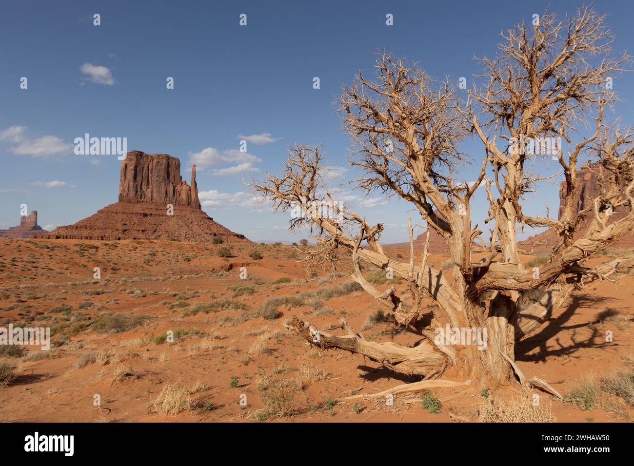 Mitten buttes hi-res stock photography and images - Alamy