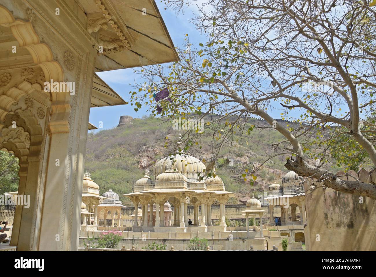 Gatore Ki Chhatriyan ( royal crematorium grounds ) , Jaipur, Rajasthan ...