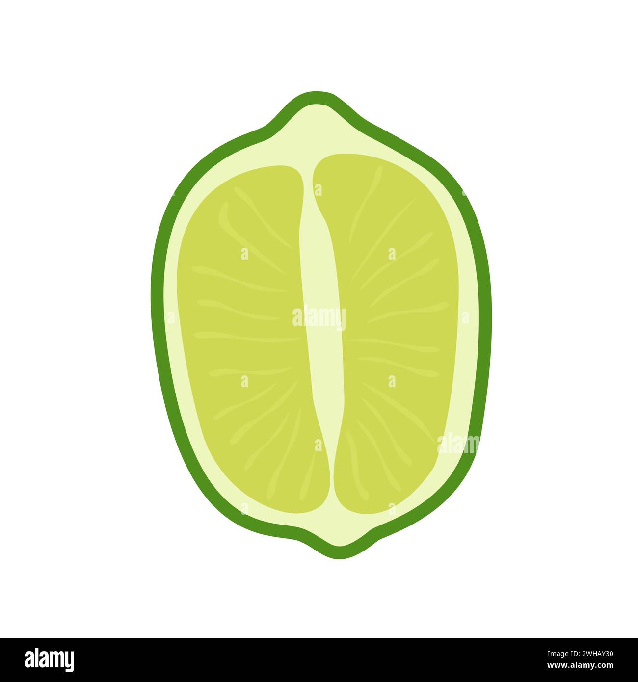 Cross section of lemon Stock Vector Images - Alamy