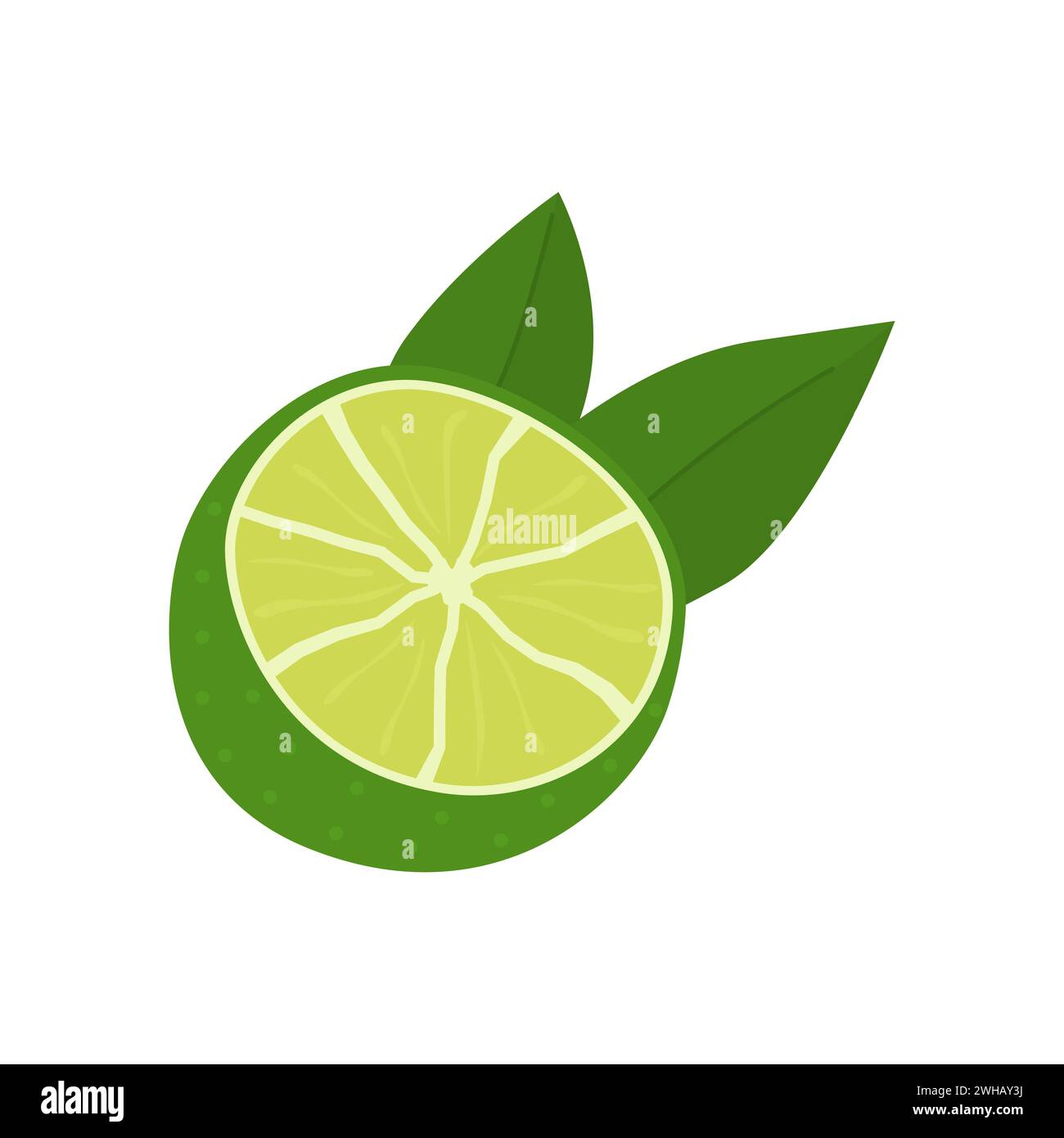 Key lime cutted in half with green leaf. Composition with citrus and ...