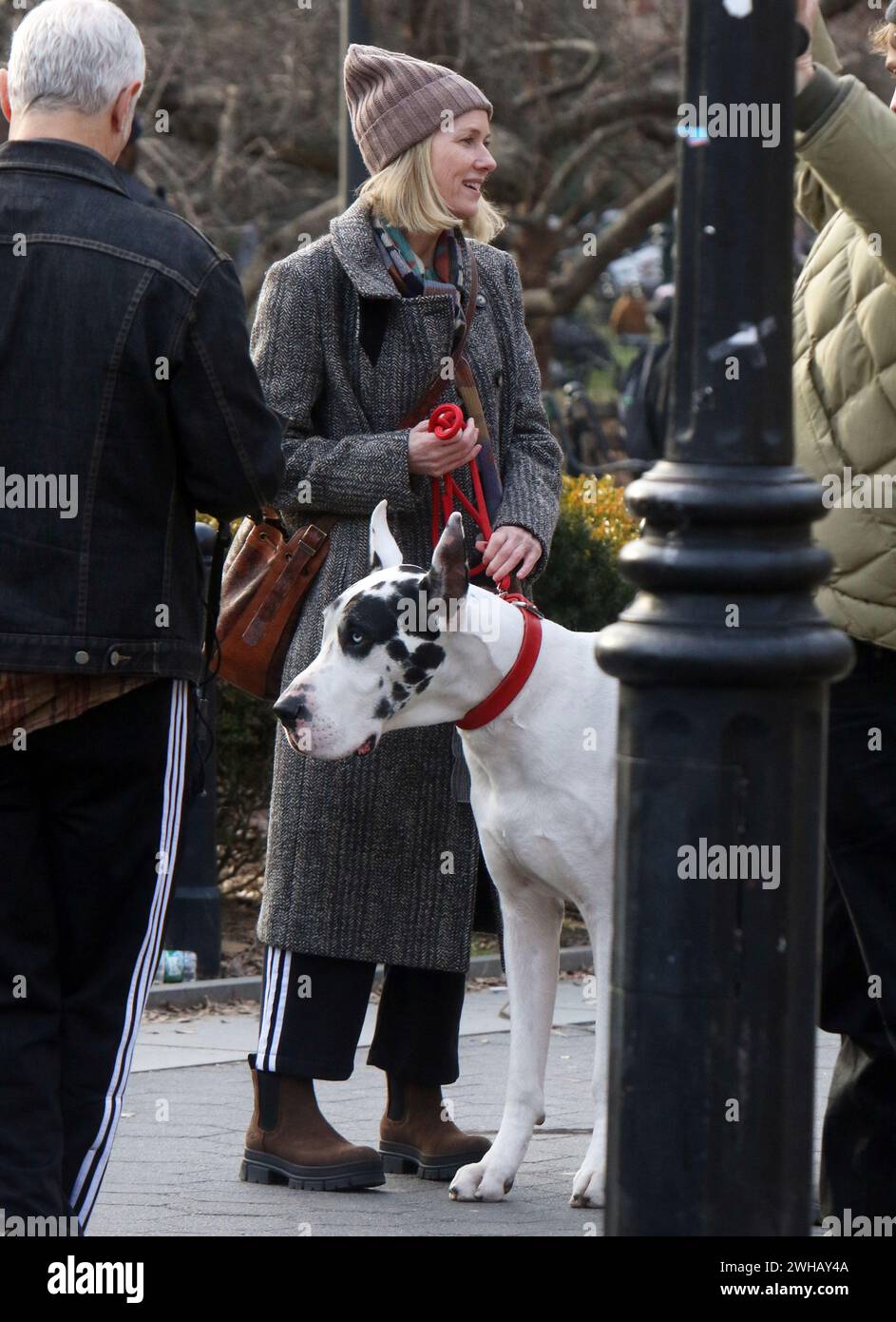 New York, NY, USA. 8th Feb, 2024. Naomi Watts on the set of the new ...