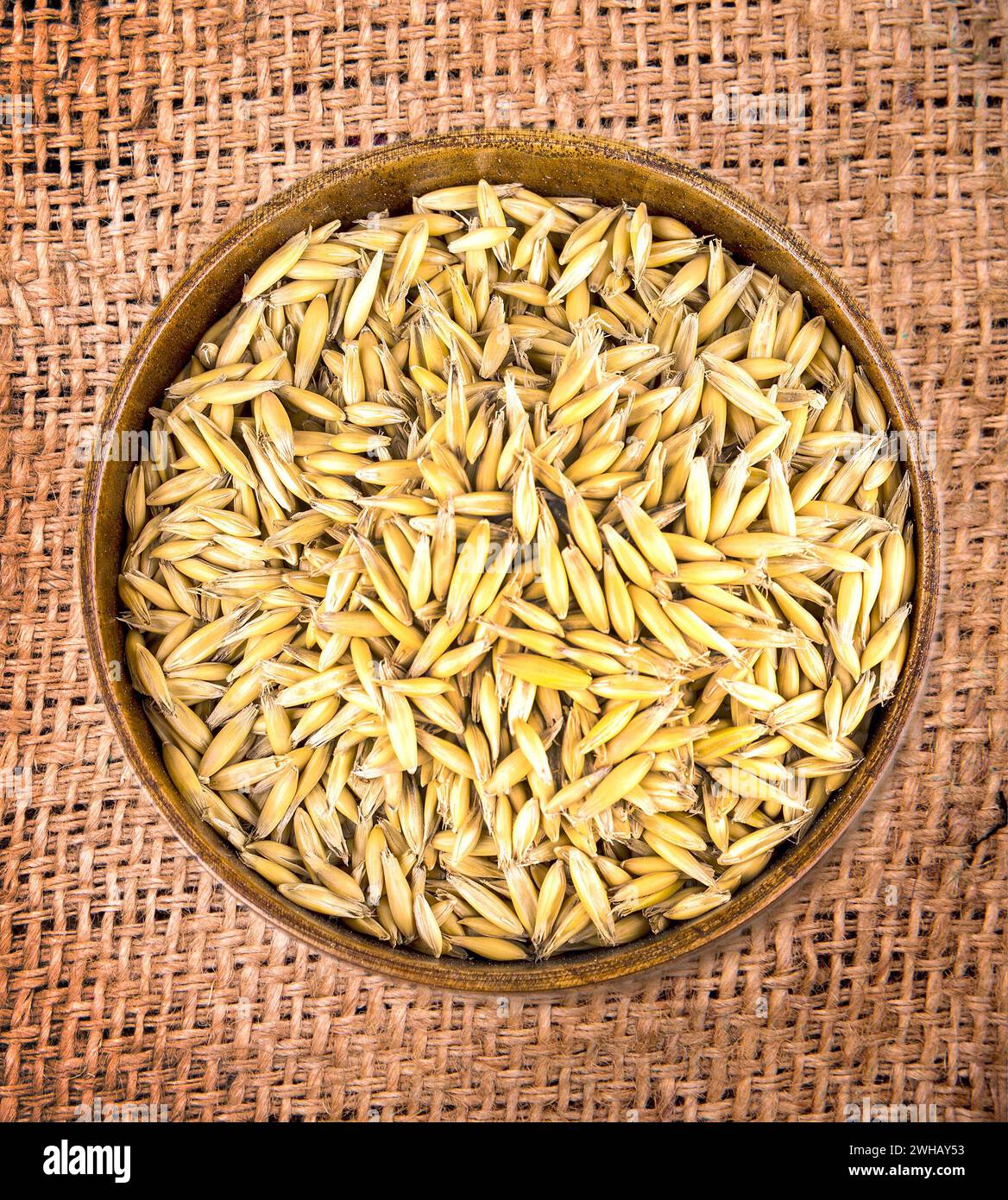 The Oat ears stems in cup on the sackcloth background. Close up Stock ...