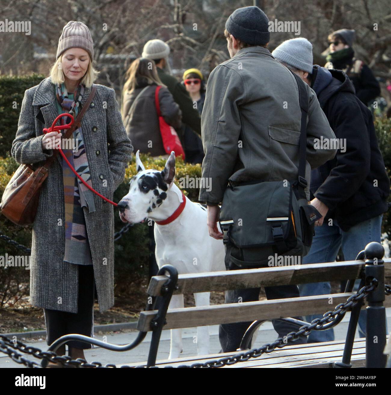 New York, NY, USA. 8th Feb, 2024. Naomi Watts on the set of the new ...