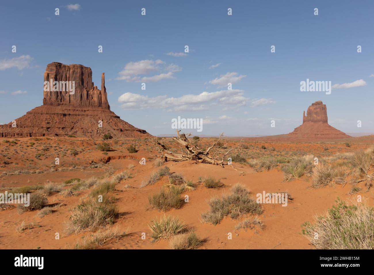 Mitten buttes hi-res stock photography and images - Alamy