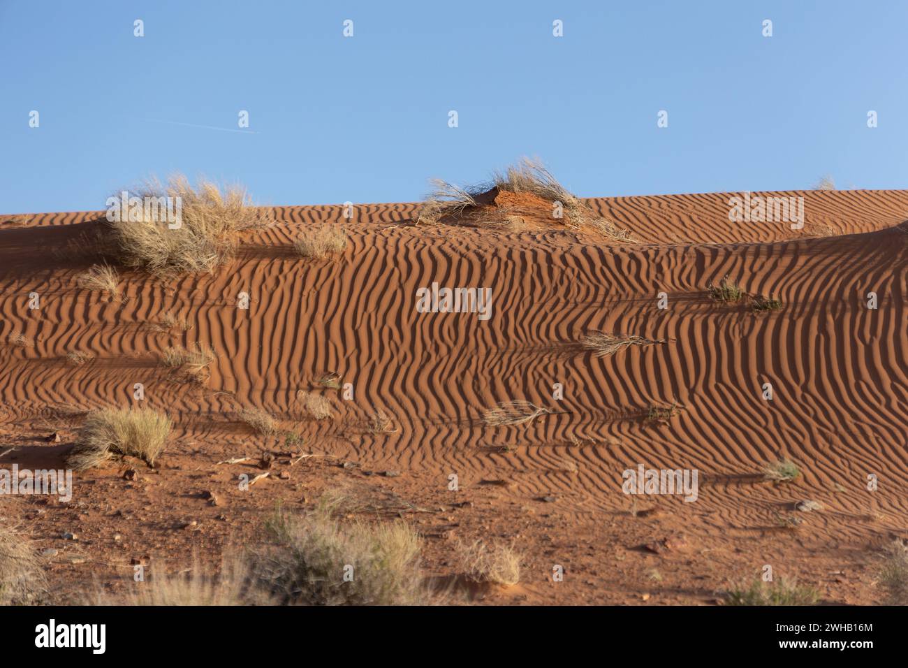 Mitten buttes hi-res stock photography and images - Alamy