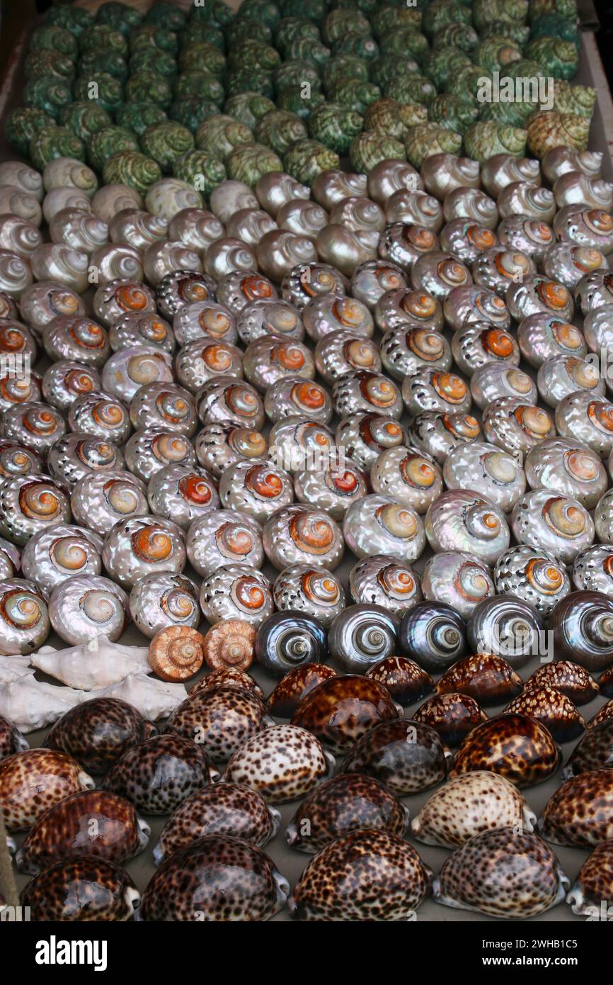 Painted seashells on sale as tourist's souvenirs Photographed at Hout ...